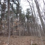 Tecumseh Trail, Indiana - 294 Reviews, Map | AllTrails