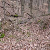 Tecumseh Trail, Indiana - 294 Reviews, Map | AllTrails