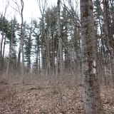 Tecumseh Trail, Indiana - 294 Reviews, Map | AllTrails