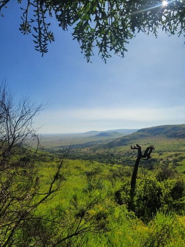 Best Hikes and Trails in The Cradle Nature Reserve | AllTrails