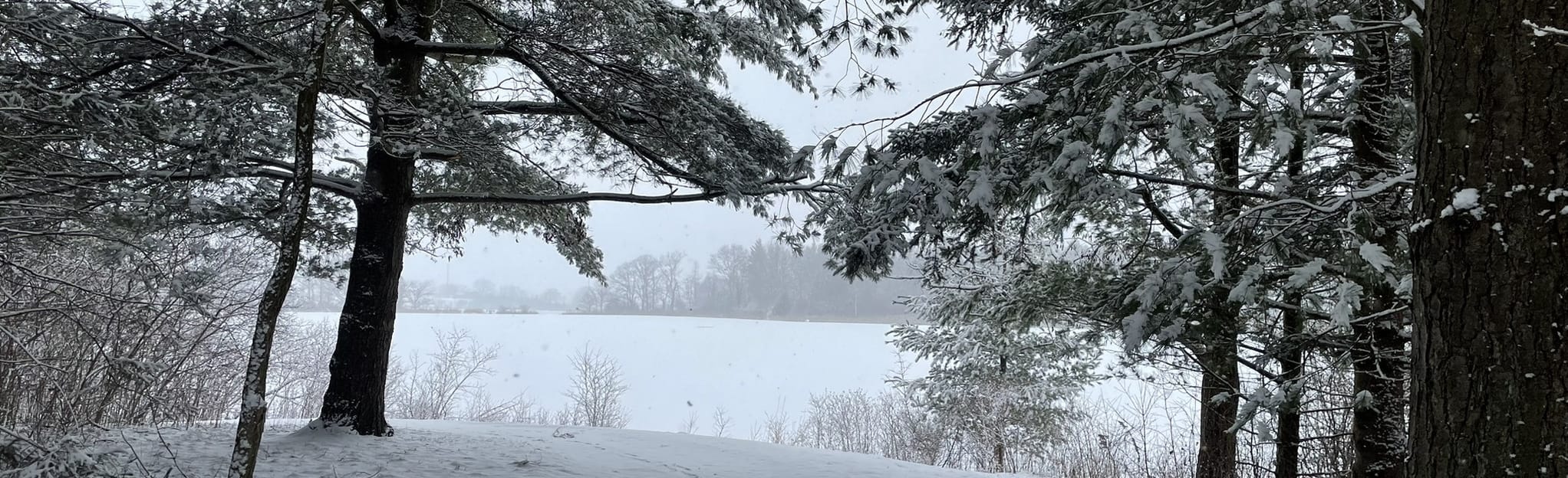 Dils Lake Loop: 10 Reviews, Map - Ontario, Canada | AllTrails