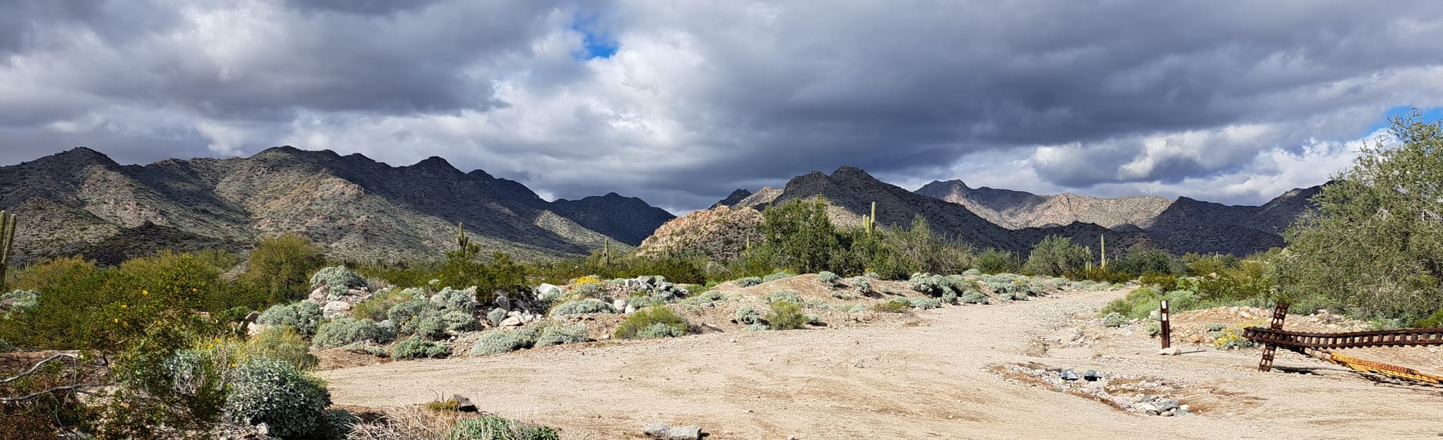 Verrado Petroglyphs: Short Loop: 755 Fotos - Arizona | AllTrails