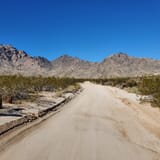 Christmas Tree Pass, Nevada - 65 Reviews, Map | AllTrails