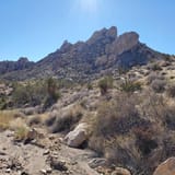 Christmas Tree Pass, Nevada - 65 Reviews, Map | AllTrails