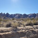 Christmas Tree Pass, Nevada - 65 Reviews, Map | AllTrails