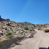 Christmas Tree Pass, Nevada - 65 Reviews, Map | AllTrails
