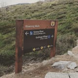 Illawong Walk, New South Wales, Australia - 330 Reviews, Map | AllTrails