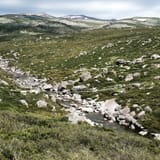 Illawong Walk, New South Wales, Australia - 330 Reviews, Map | AllTrails