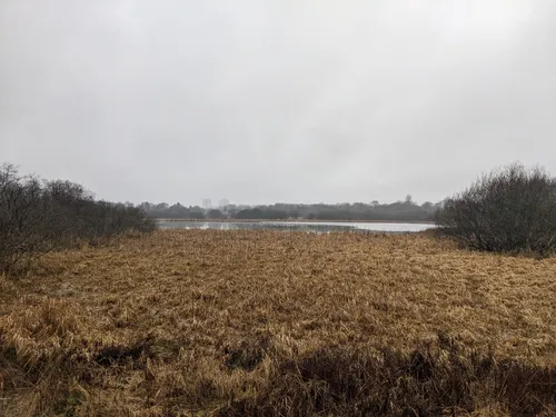 Best Hikes and Trails in Possil Marsh Nature Reserve | AllTrails