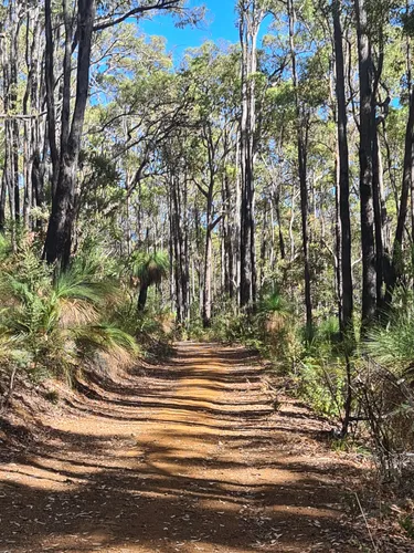 10 Best Hikes and Trails in Lane Poole Reserve | AllTrails