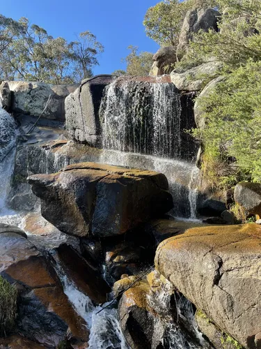 Best Hikes and Trails in Gibraltar Forest | AllTrails