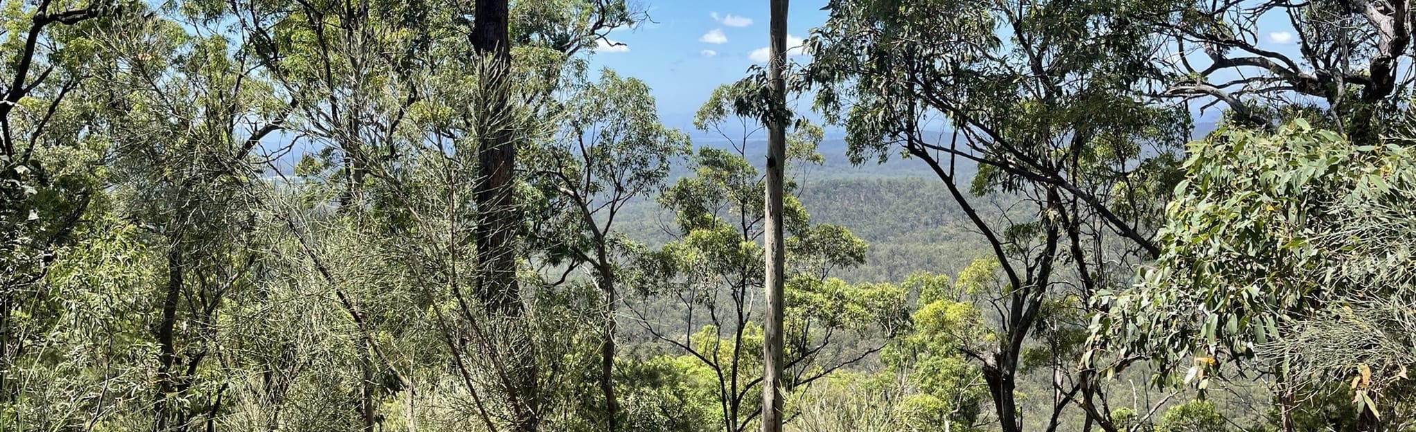 Spring Mountain Loop via Mountain Creek Trail | Map, Guide - Queensland ...