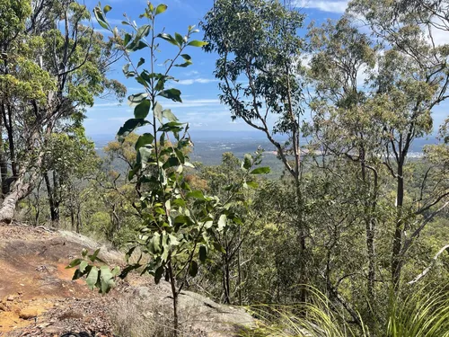 Best Hikes and Trails in Spring Mountain Forest Park | AllTrails