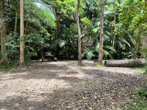 Best Hikes and Trails in Cathu State Forest | AllTrails