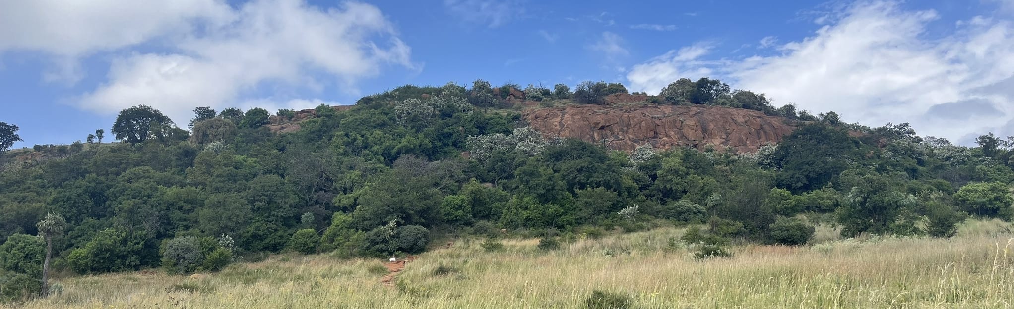 Klipriviers Trail: 33 Reviews, Map - Gauteng, South Africa | AllTrails