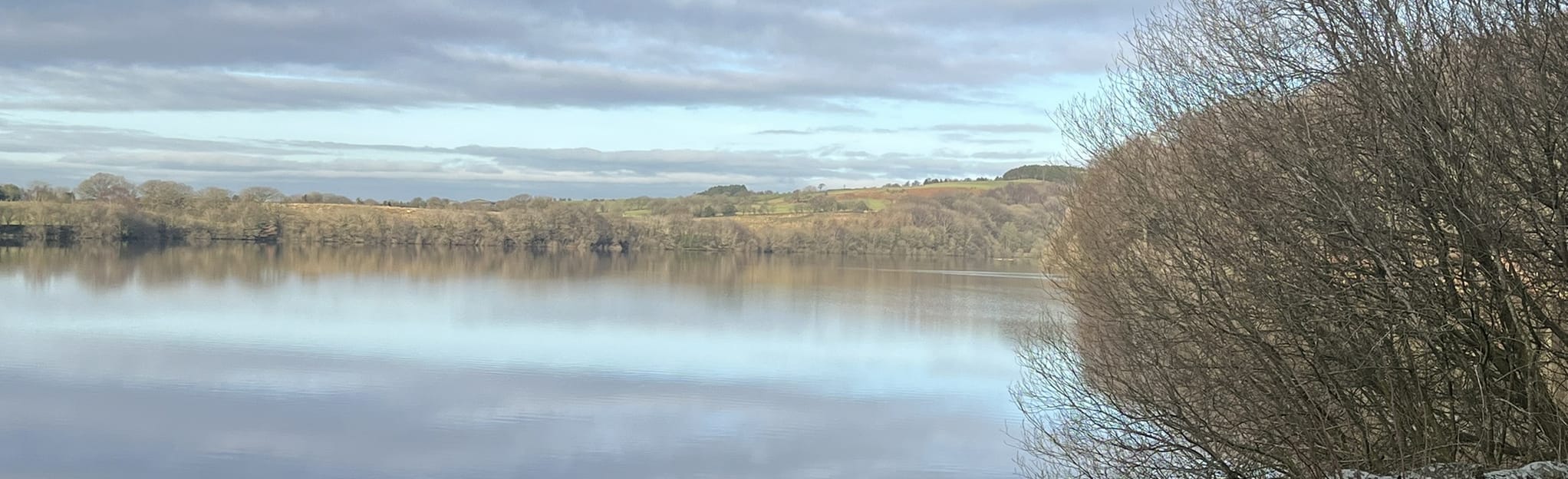 Anglezarke, Lancashire, England - 102 Reviews, Map | AllTrails