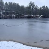 Breakheart Reservation Loop, Massachusetts - 1,035 Reviews, Map | AllTrails