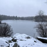 Breakheart Reservation Loop, Massachusetts - 1,035 Reviews, Map | AllTrails