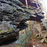 Split Bow Arch Loop, Kentucky - 178 Reviews, Map | AllTrails