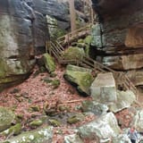 Split Bow Arch Loop, Kentucky - 178 Reviews, Map | AllTrails