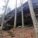 Split Bow Arch Loop, Kentucky - 178 Reviews, Map | AllTrails