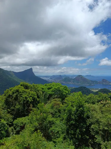 10 Best Hikes and Trails in Tijuca National Park | AllTrails