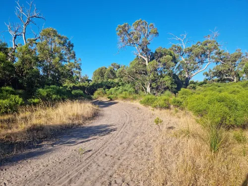 Best Hikes and Trails in Lake Cooloongup Reserve | AllTrails
