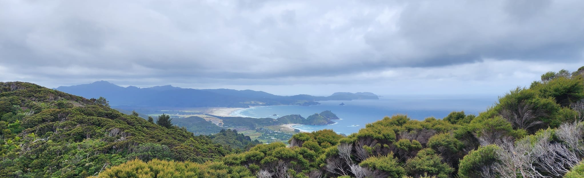 Station Rock Path, Auckland, New Zealand - 6 Reviews, Map | AllTrails