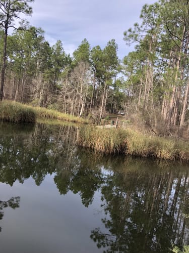 Best Hikes and Trails in Foley | AllTrails