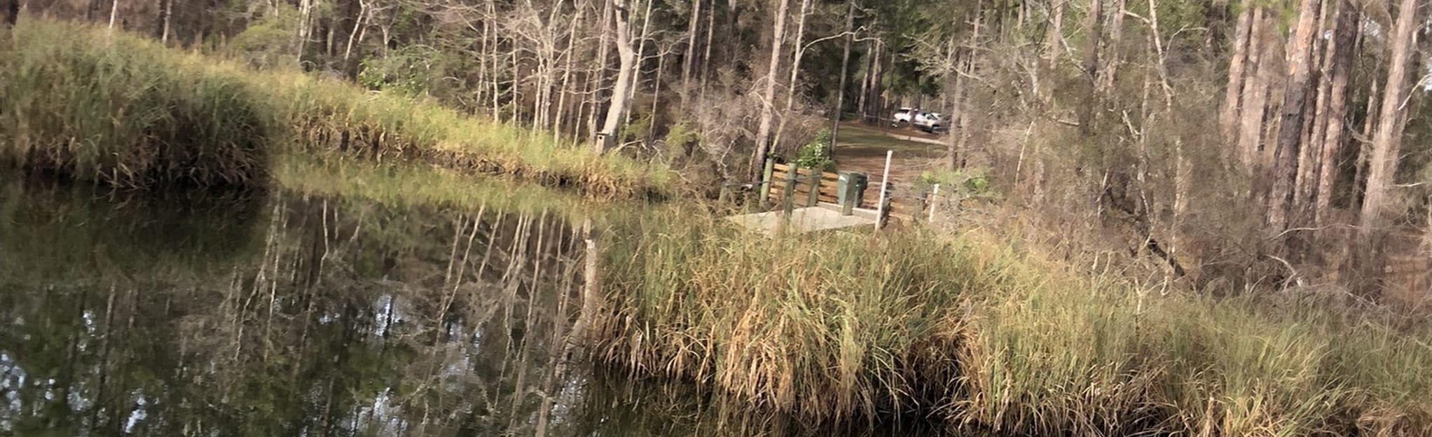 Milk Wort Trail: 35 Reviews, Map - Alabama | AllTrails