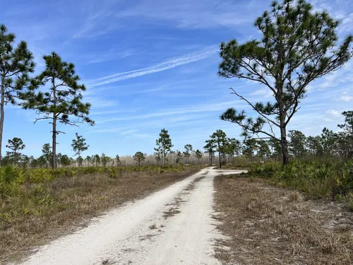 Best Hikes and Trails in Triple N Ranch Wildlife Management Area ...