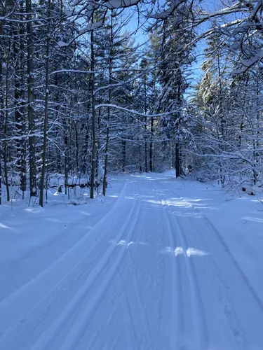 Best Hikes and Trails in Larose Forest | AllTrails