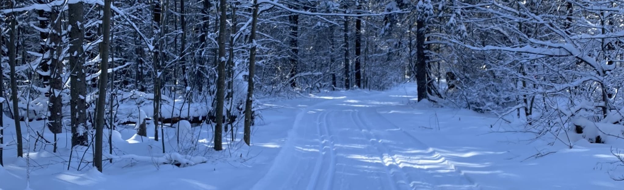 Larose P7 Track | Map, Guide - Ontario, Canada | AllTrails