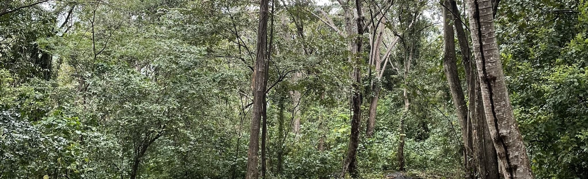 Cascada de San Ramón: 35 fotos - Rivas, Nicaragua | AllTrails
