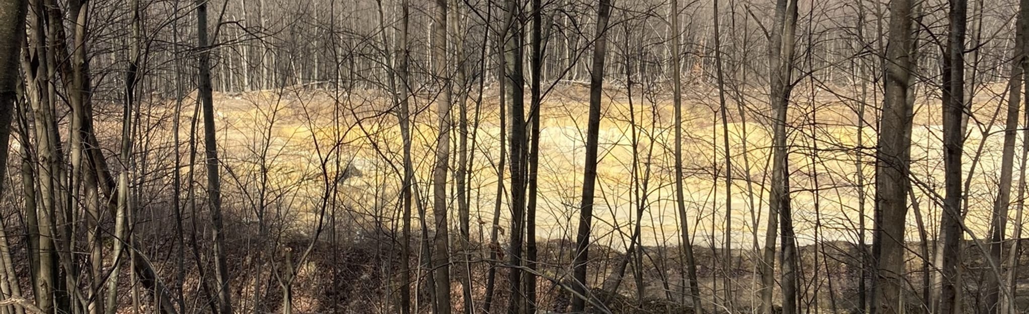 Money Rocks Cockscomb Trail Loop: 384 Reviews, Map - Pennsylvania ...