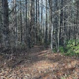 Sid's Falls, South Carolina - 403 Reviews, Map | AllTrails
