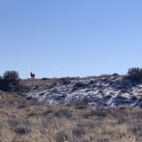 Jackson Lake Trail, New Mexico - 73 Reviews, Map | AllTrails