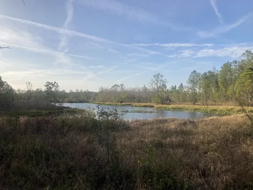 Best Hikes and Trails in Sun 'n Lake Preserve | AllTrails