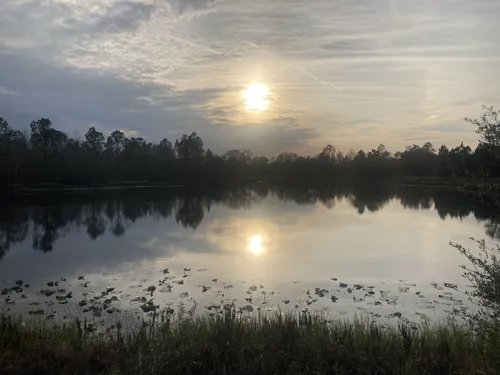 Best Hikes and Trails in Sun 'n Lake Preserve | AllTrails