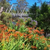 Warburton River Walk, Victoria, Australia - 209 Reviews, Map | AllTrails