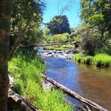 Warburton River Walk, Victoria, Australia - 209 Reviews, Map | AllTrails