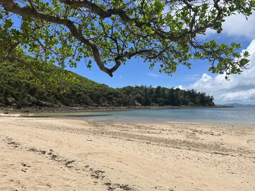 10 Best Trails and Hikes in Hamilton Island | AllTrails