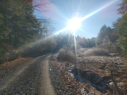 Best Hikes and Trails in Dysart | AllTrails