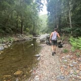 Northbrook Gorge, Queensland, Australia - 196 Reviews, Map | AllTrails