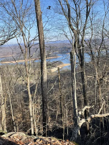 Best Hikes and Trails in Big Ridge State Park | AllTrails