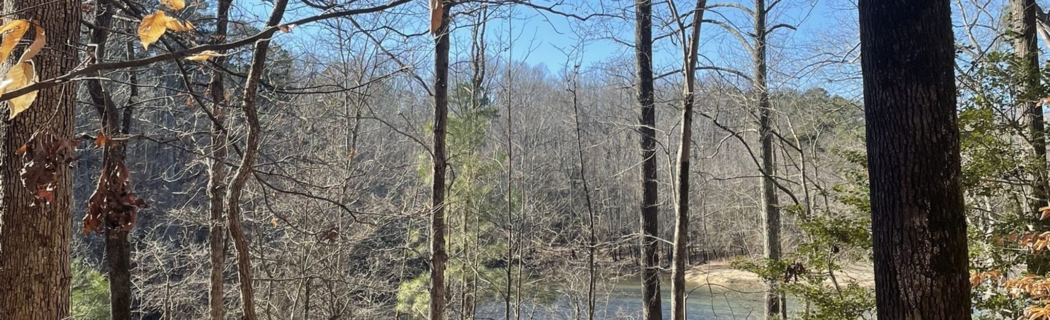 Big Poplar Trail, North Carolina - 57 Reviews, Map | AllTrails