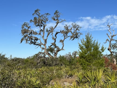 Best Hikes and Trails in Beker - Wingate Creek State Park | AllTrails