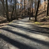 Webb Bridge Park Trail, Georgia - 768 Reviews, Map | AllTrails