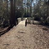 NMB Nature Trail, South Carolina - 320 Reviews, Map | AllTrails