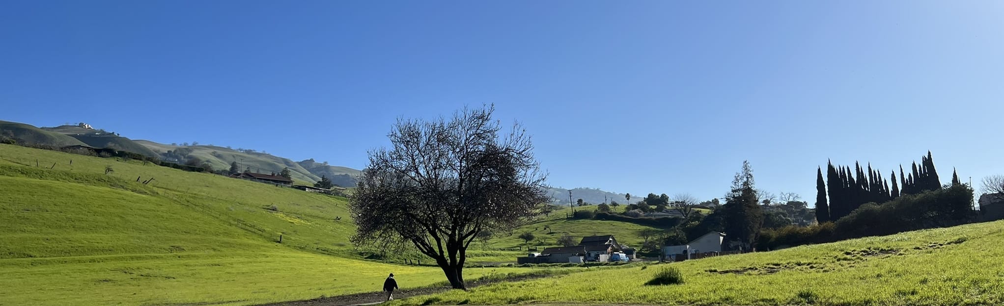 Groesbeck Hills Park Loop, California - 107 Reviews, Map | AllTrails